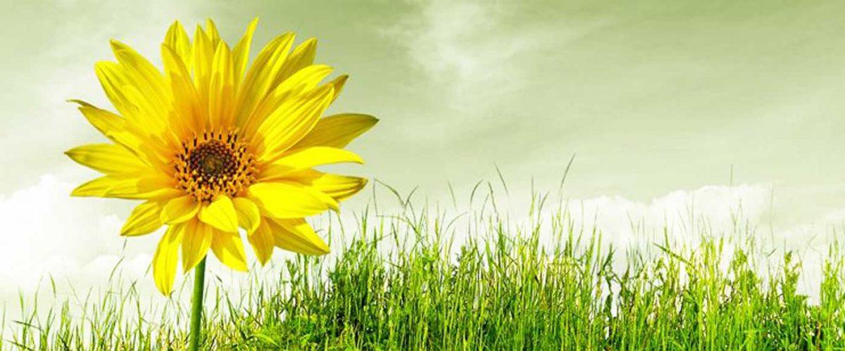 Grafton NSW - Biohazard & Crime Scene Cleaning - Biohazard Cleaning ...